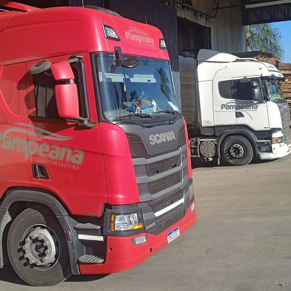 PAMPEANA TRANSPORTADORA